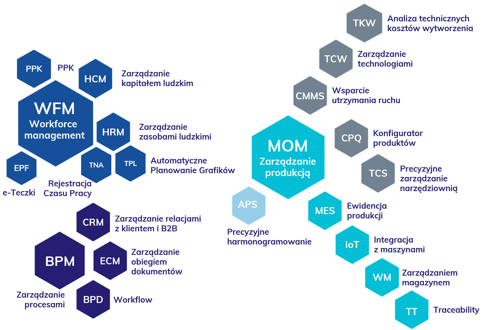 Oprogramowanie i doradztwo w zarządzaniu produkcją i zasobami ludzkimi